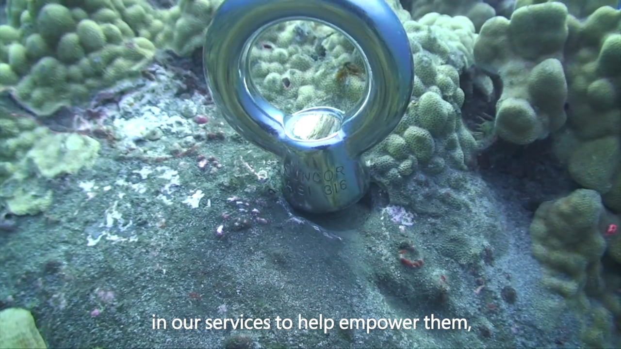 Customer story: Jack's Diving Locker - Stratus Innovations Group